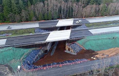 Padden Creek Fish Passage Design-Build | GeoEngineers